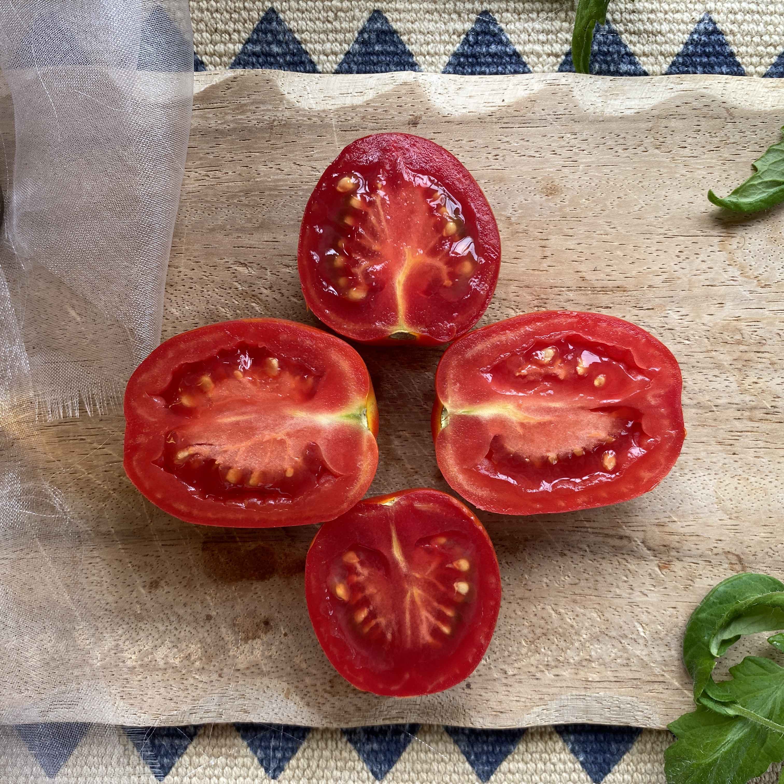 Saatgut / Samen von der Tomate Matt's Folly