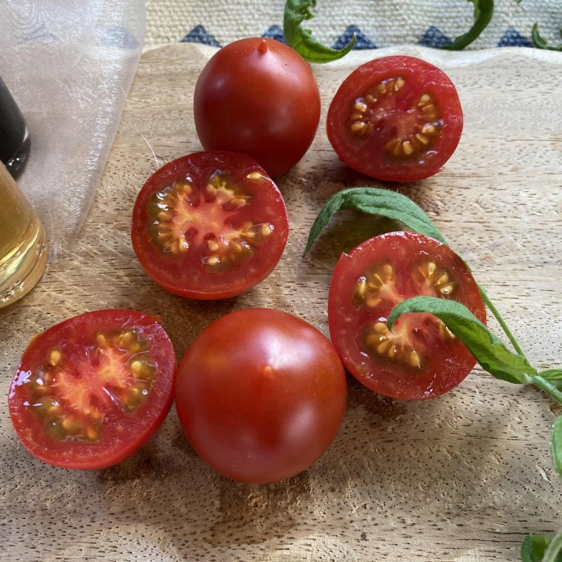Saatgut / Samen von der Tomate Rancho Solito