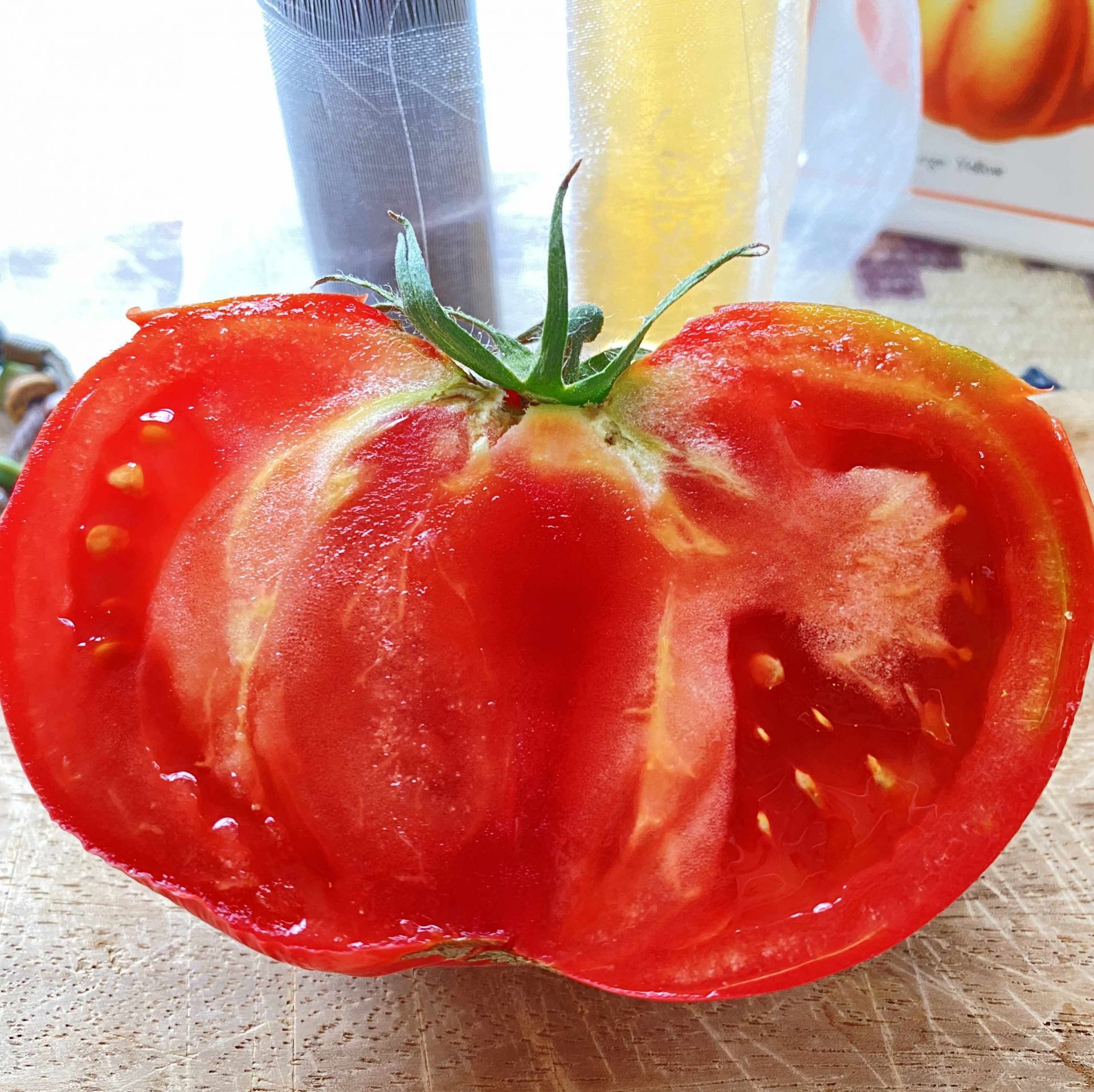 Saatgut / Samen von der Tomate Altaisky
